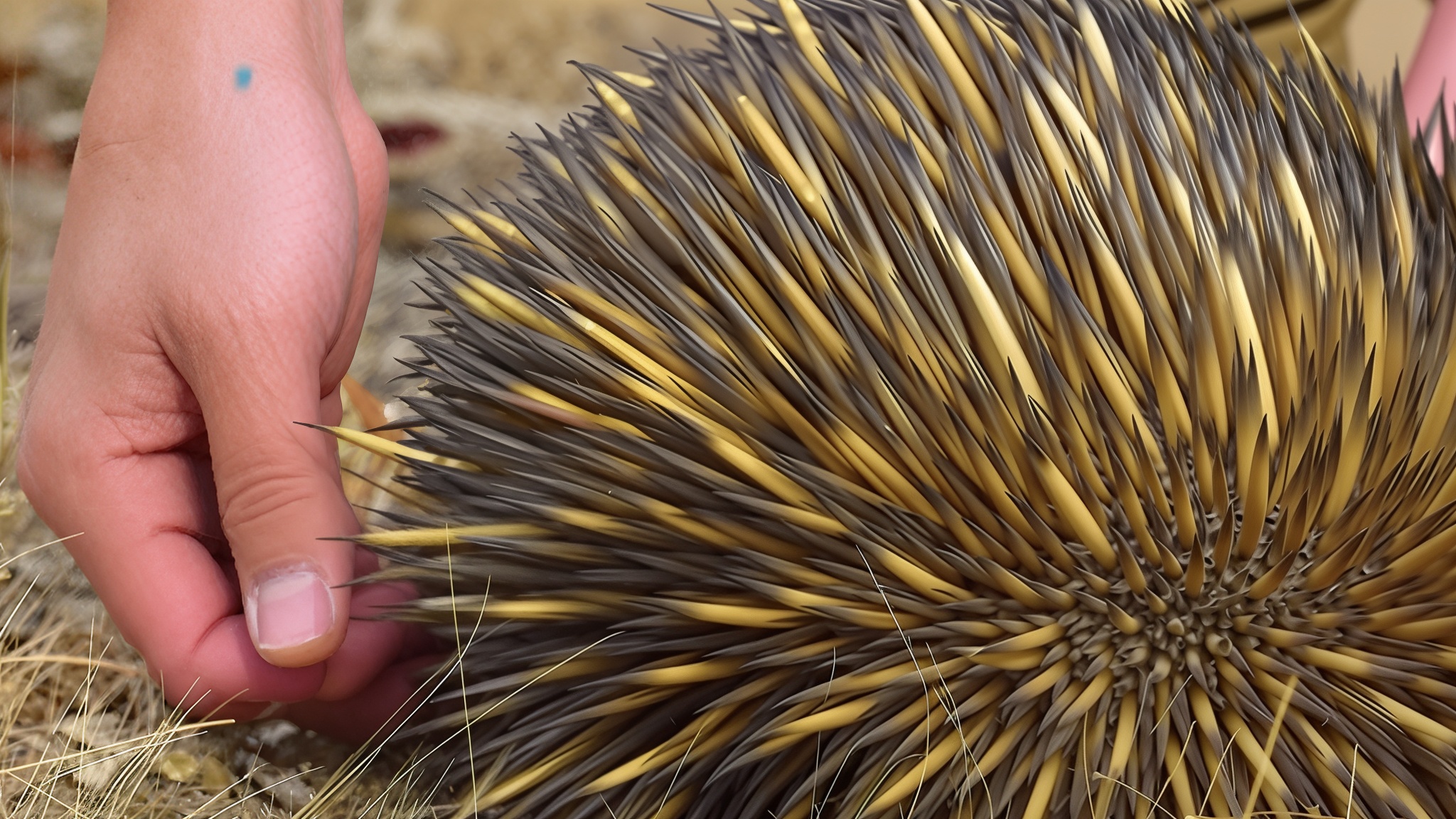 Getting Spiked by Real-Life Knuckles!