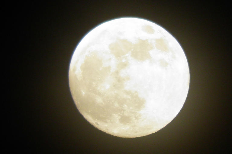 November Supermoon 2025: Here's how to see the Beaver Full Moon and how ...