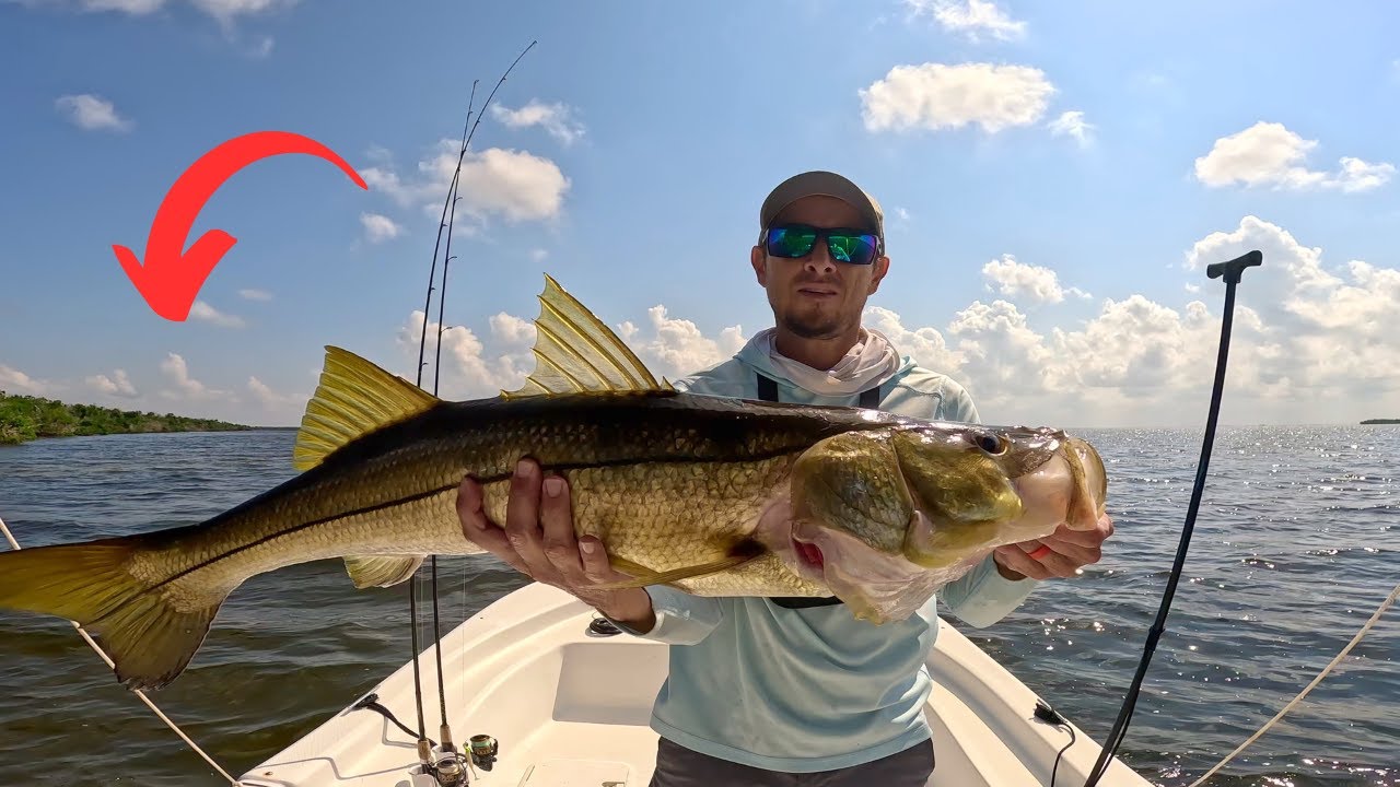 Full Tour: 20' Carolina Skiff JVX and 90 HP E-TEC Setup