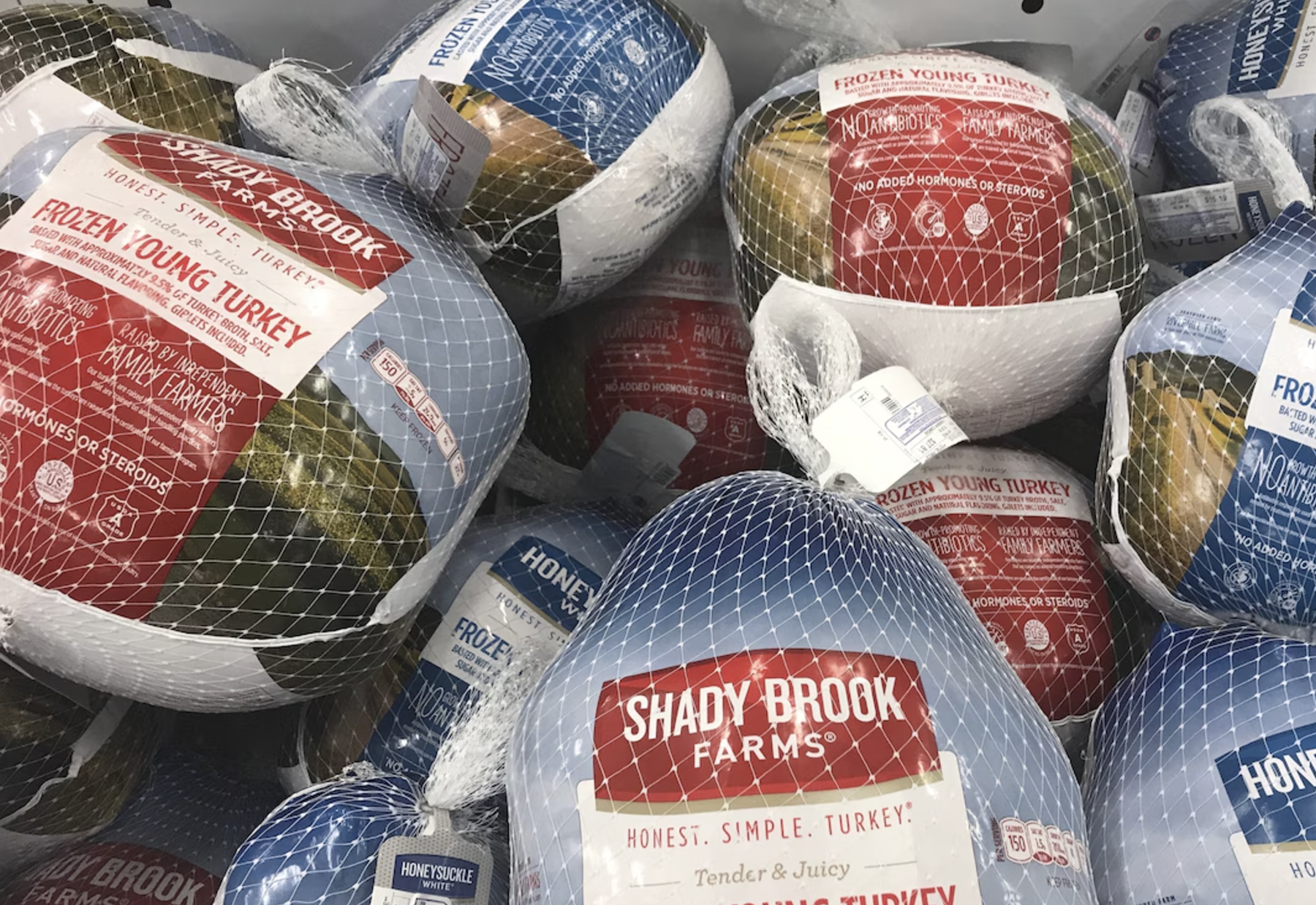 Bird Flu Is Causing Turkey Prices to Jump Ahead of Thanksgiving. Here's ...