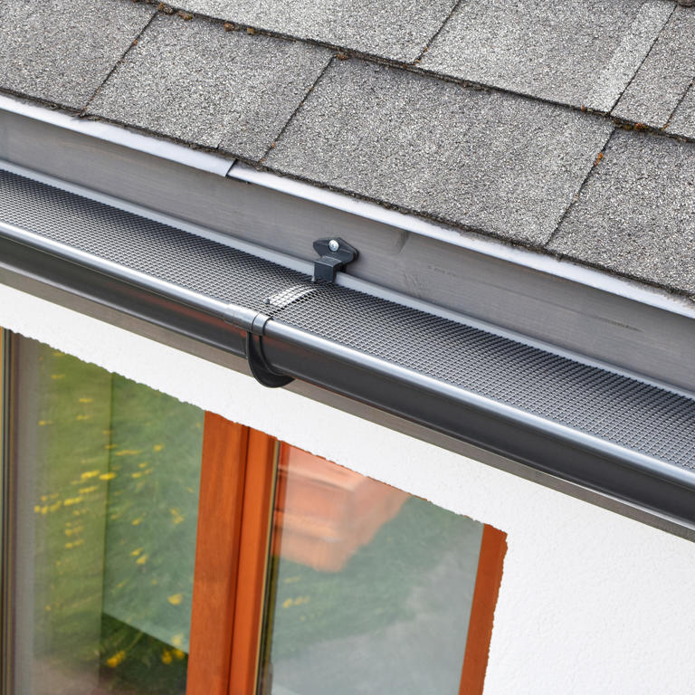 This £5 hack is what experts swear by to stop your gutters blocking in ...