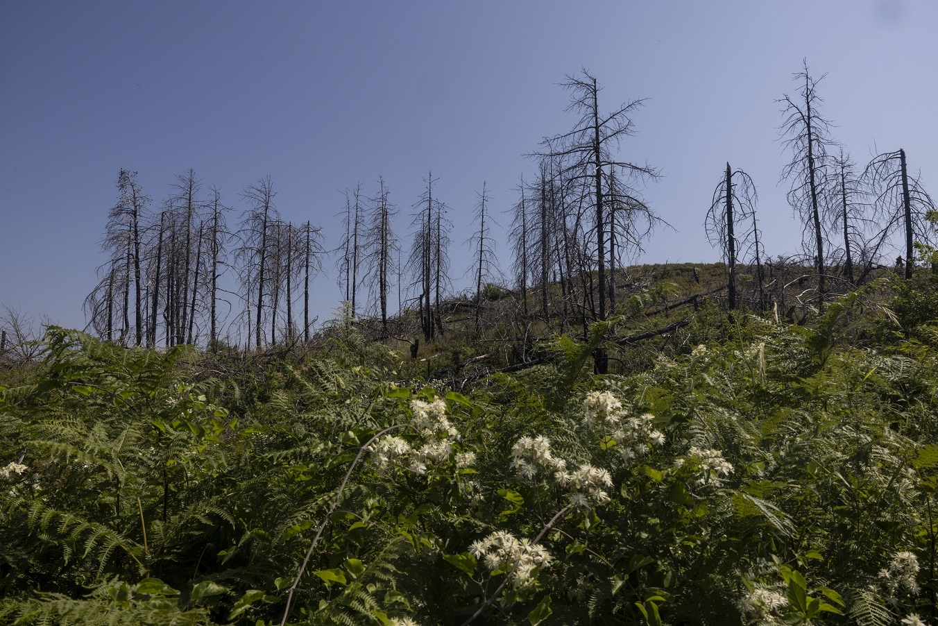 North Evia Pass 2025: Από σήμερα αιτήσεις μέσω του vouchers.gov.gr