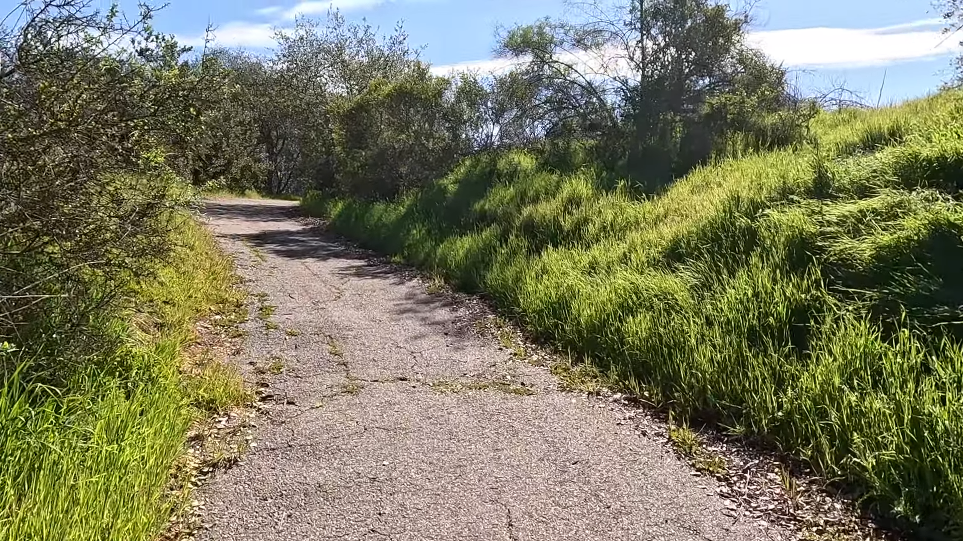 How a Dangerous Curve on Highway 395 Became a Hidden Sanctuary