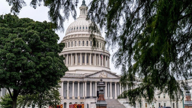 Government shutdown enters 24th day as Senate fails to pass backpay bill