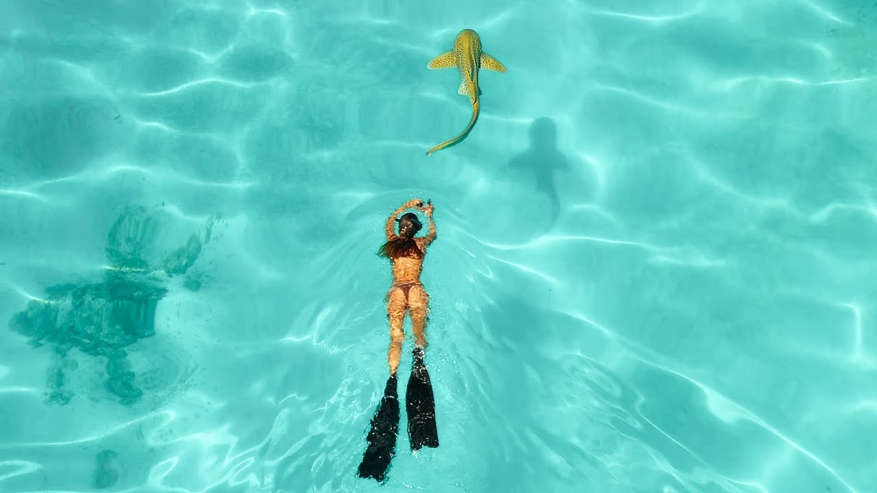 Surviving the Weirdest Shark Encounter While Spearfishing