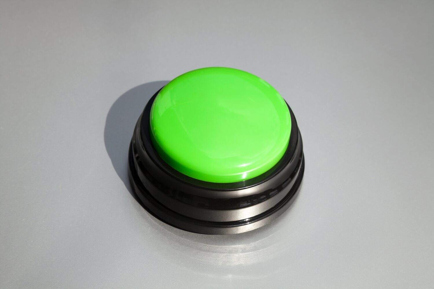 How Pet Communication Buttons Help You Talk With Your Dog or Cat