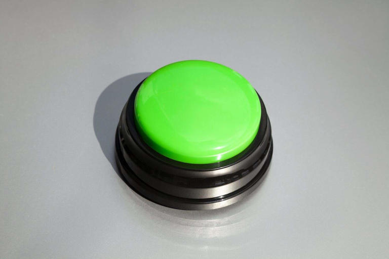 How Pet Communication Buttons Help You Talk With Your Dog or Cat