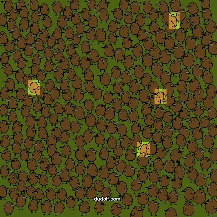 Viral Optical illusion: Only people with 20/20 vision can spot the 4 ...