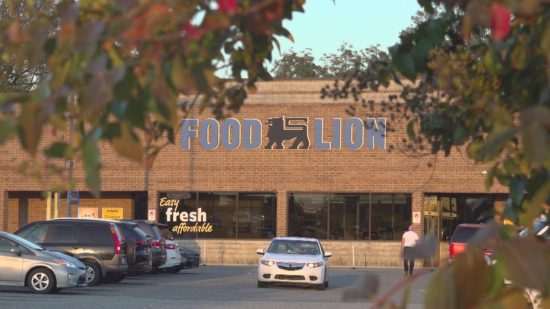 Food Lion parent company to build Burlington distribution center