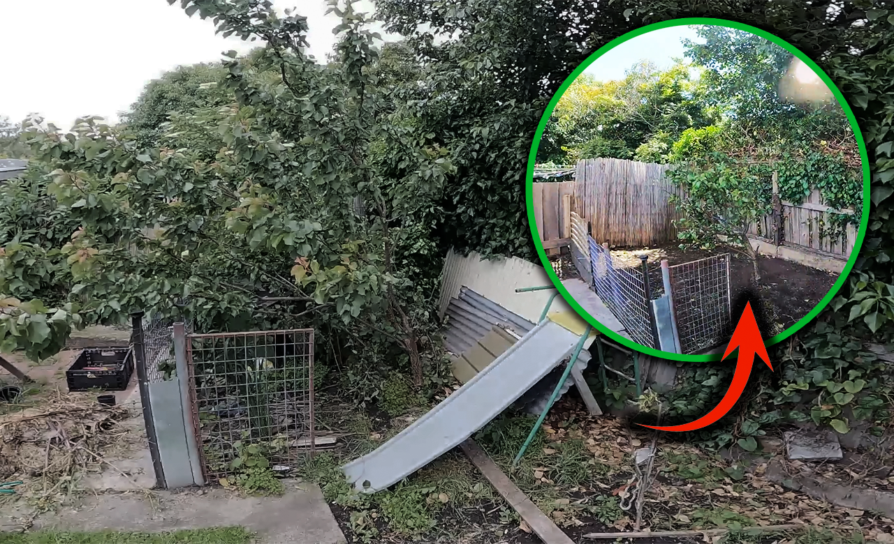 Rebuilding a garden: hard work pays off