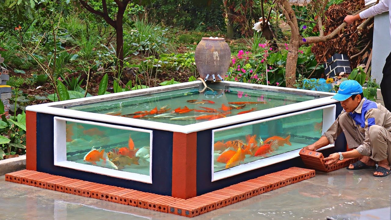I built a sustainable outdoor aquarium! 🌿🐟