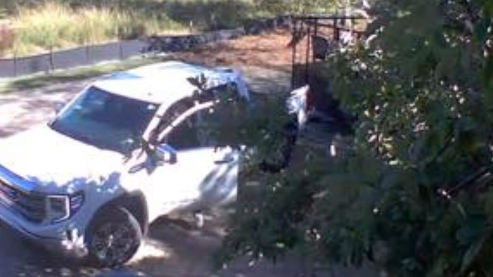 Darlington residents warned of 'pine straw services' scam in Country ...