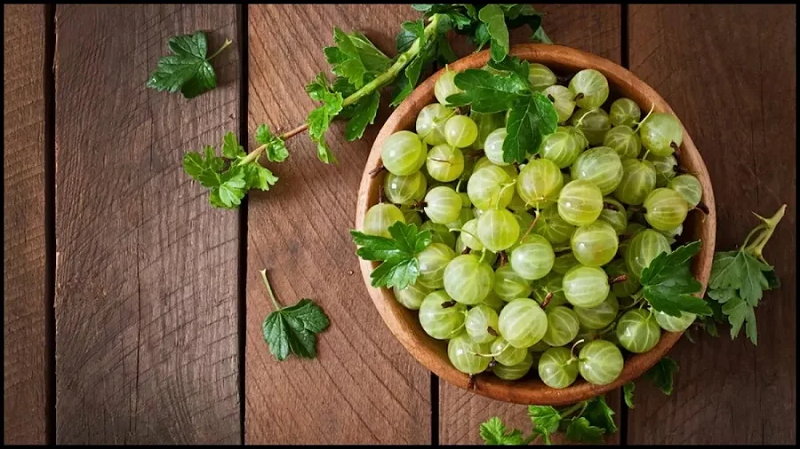 Health Tips - Drinking Amla on an empty stomach offers these benefits ...