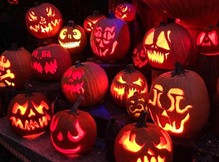 5 Fun Things To Do This Weekend In Bucks Co.