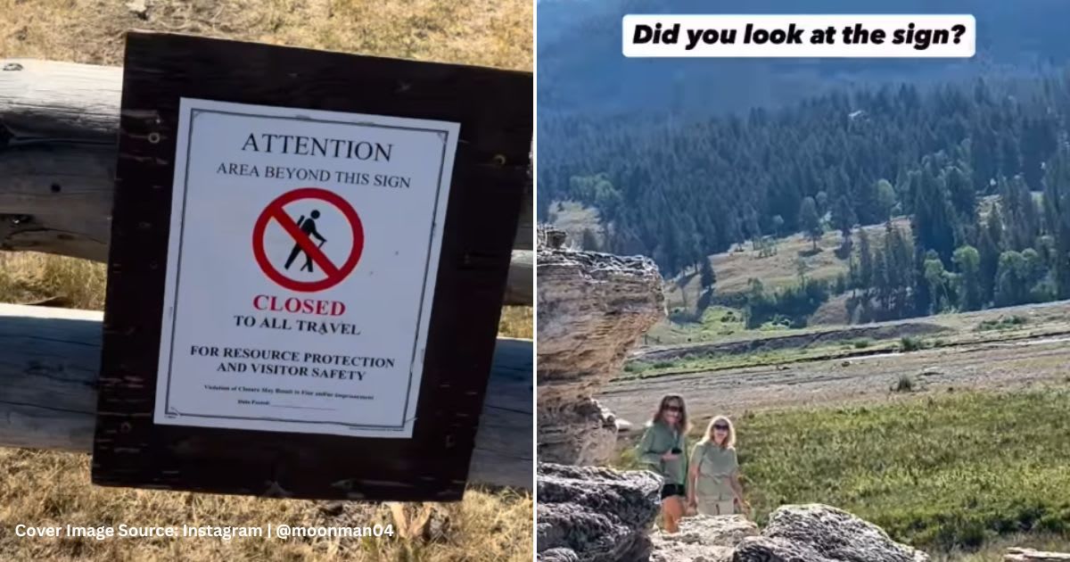 Video Shows Yellowstone Guide Catching Tourists Ignoring Safety Signs ...
