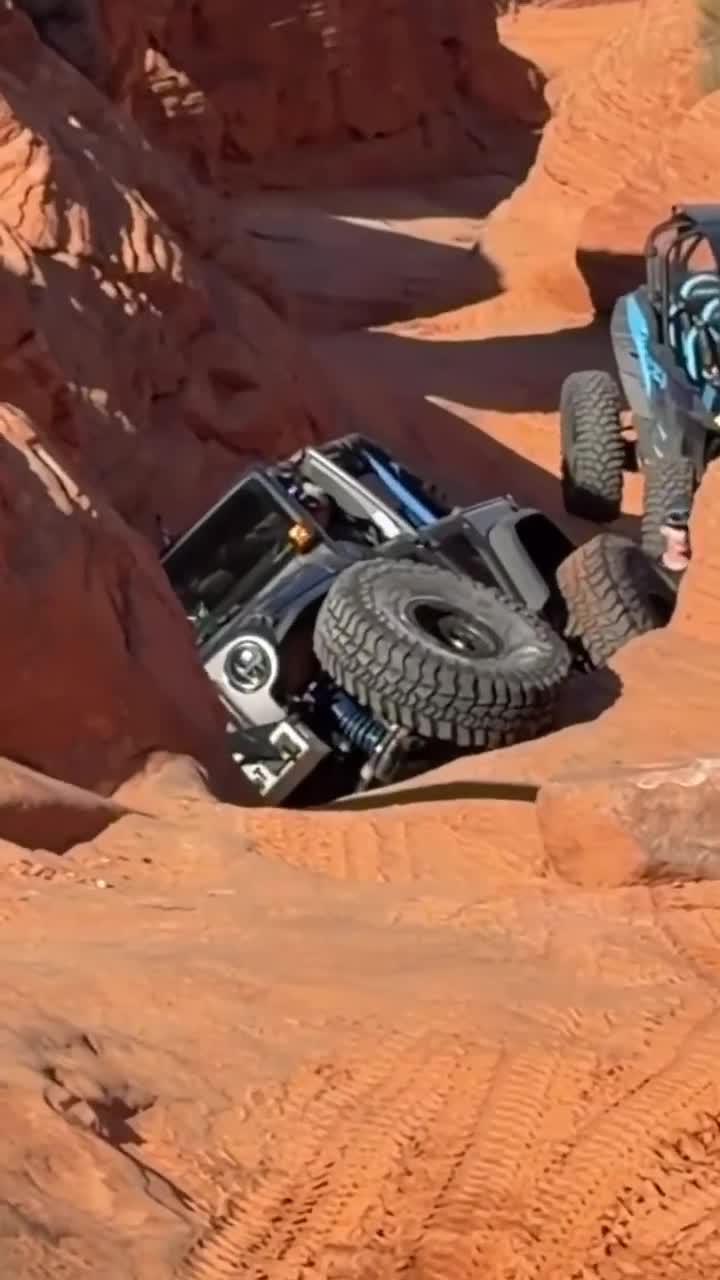 Exploring lush forests and rugged landscapes