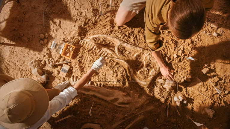 Dinosaur Fossils That Changed What We Know About Evolution