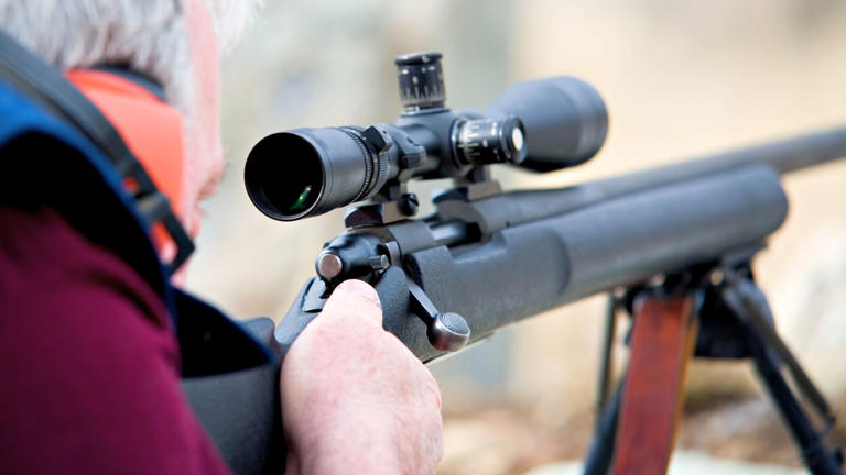 Shotgun vs rifle for whitetail: the advantage you didn’t expect