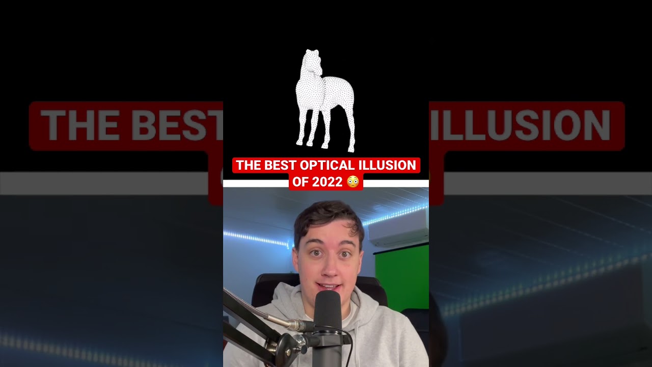 A notable optical illusion that gained attention in 2022