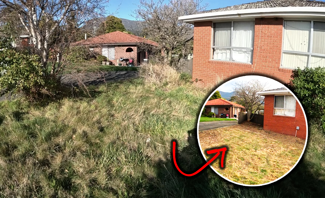 My 7-hour mission to rescue a random yard!