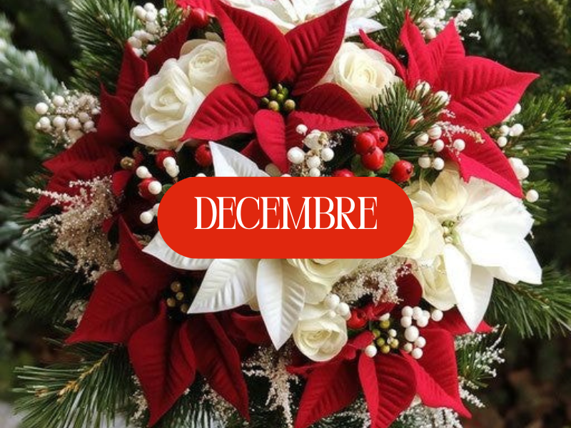 Bouquet de fleurs de naissance décembre : houx & poinsettia, le rouge ...