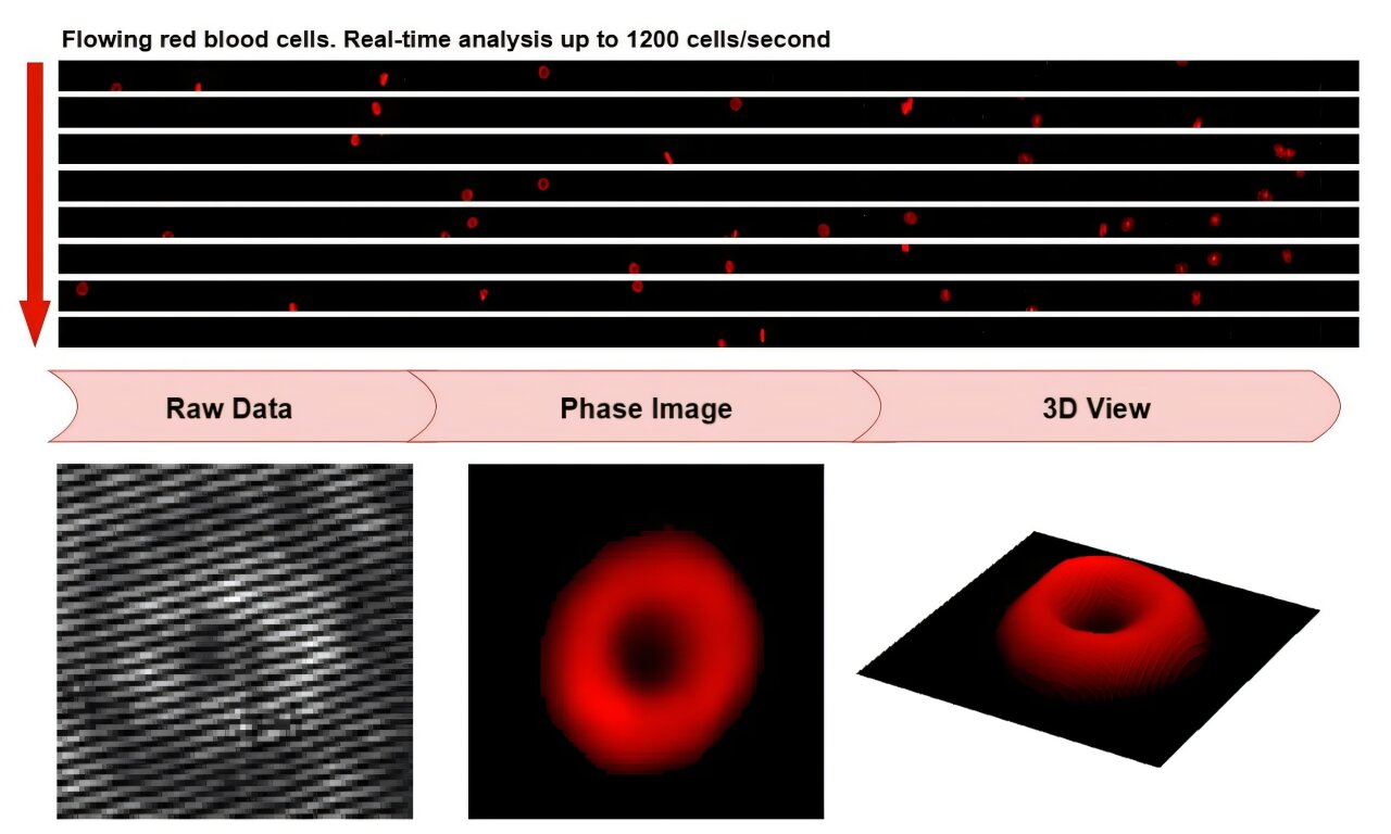 Embedded GPU platform powers real-time blood cell imaging and analysis