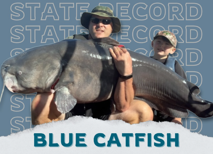 Must-see video: Iowa fisherman lands record-breaking 105-pound blue catfish