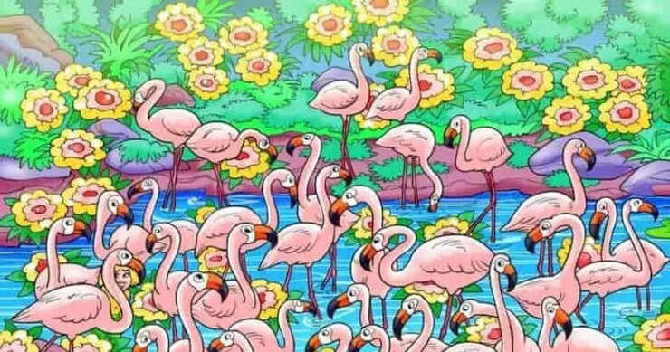 Optical illusion: Only 1% can spot the hidden woman among flamingos ...
