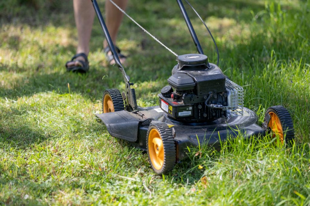 Practical Tips for Maintaining a Beautiful Lawn