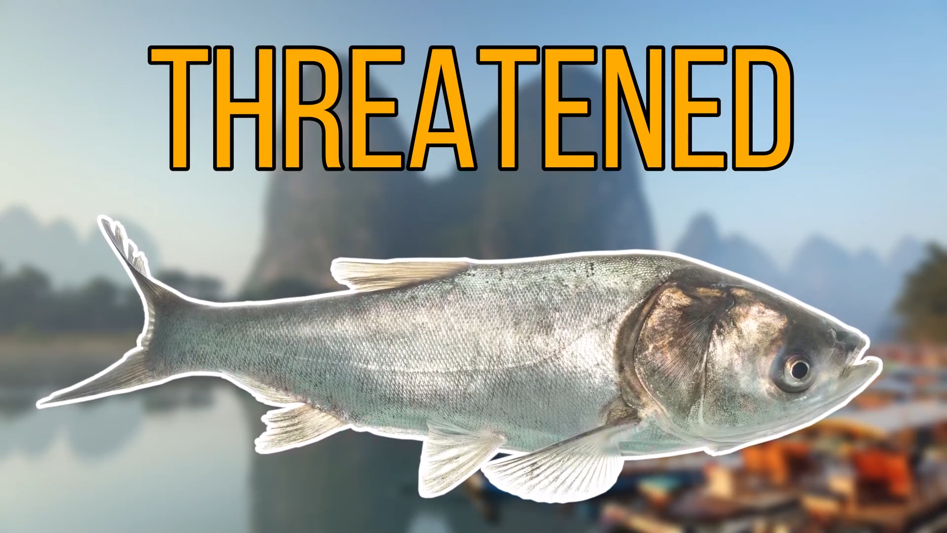 When Fish Go Rogue: 5 Species Devastating Ecosystems and Economies