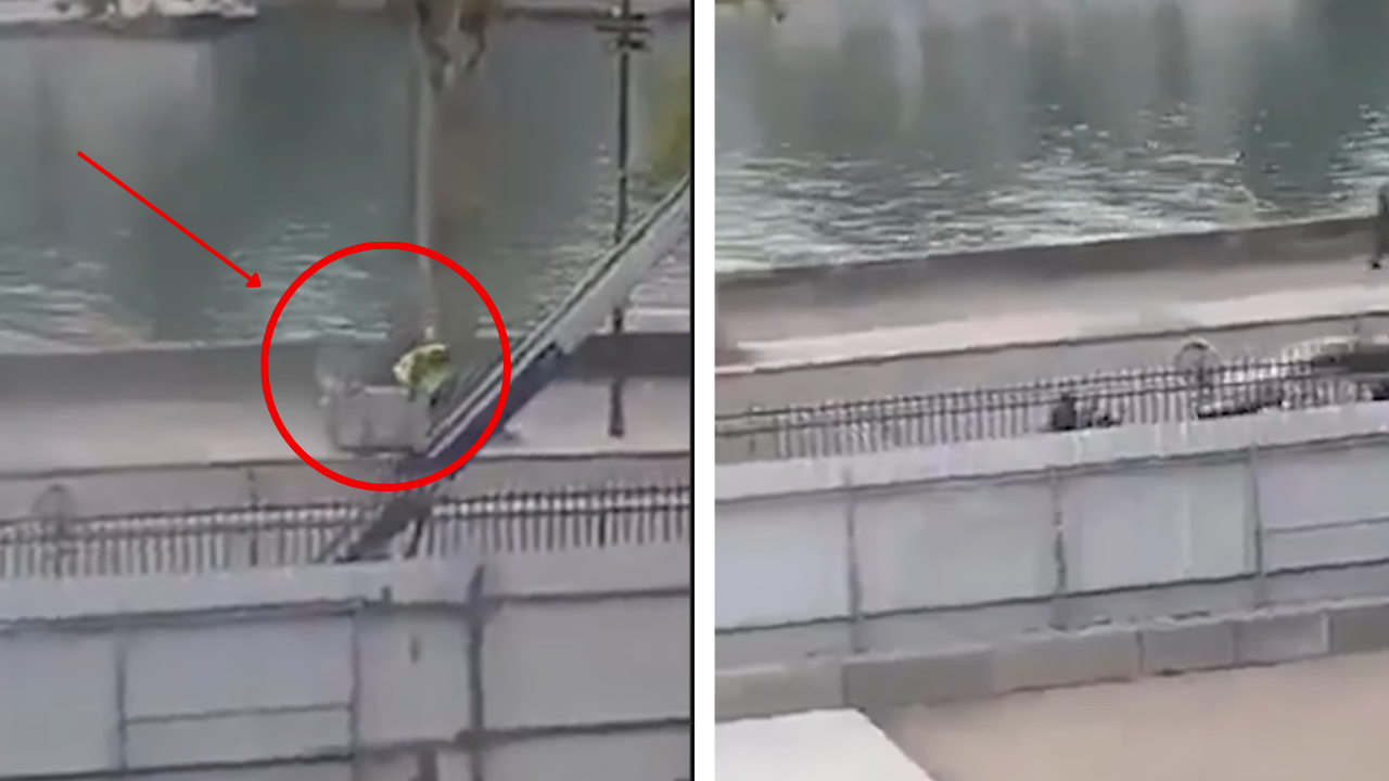 Watch: Louvre robbers make daring escape in broad daylight with $100 ...