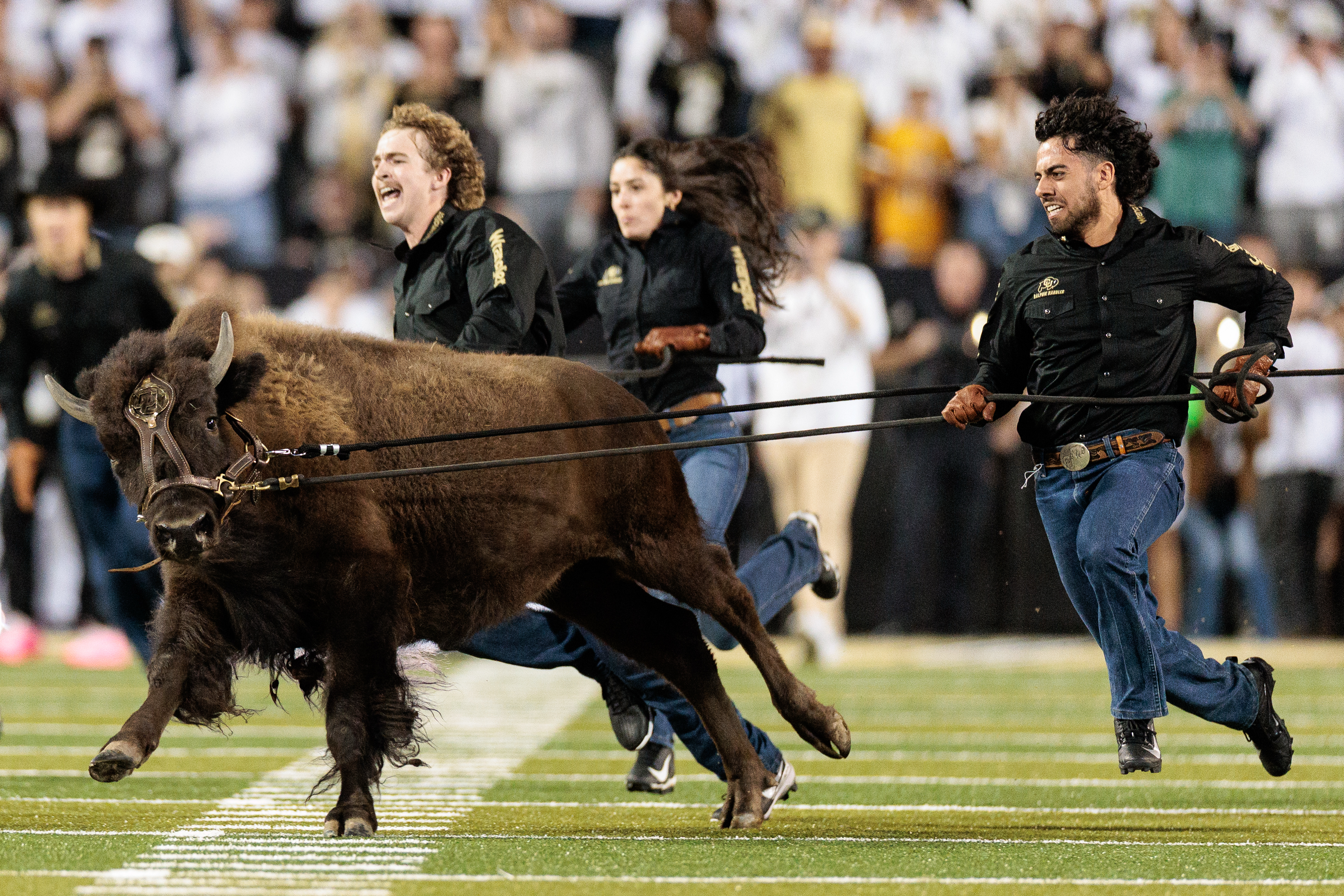 Inside the zany world of live college mascots