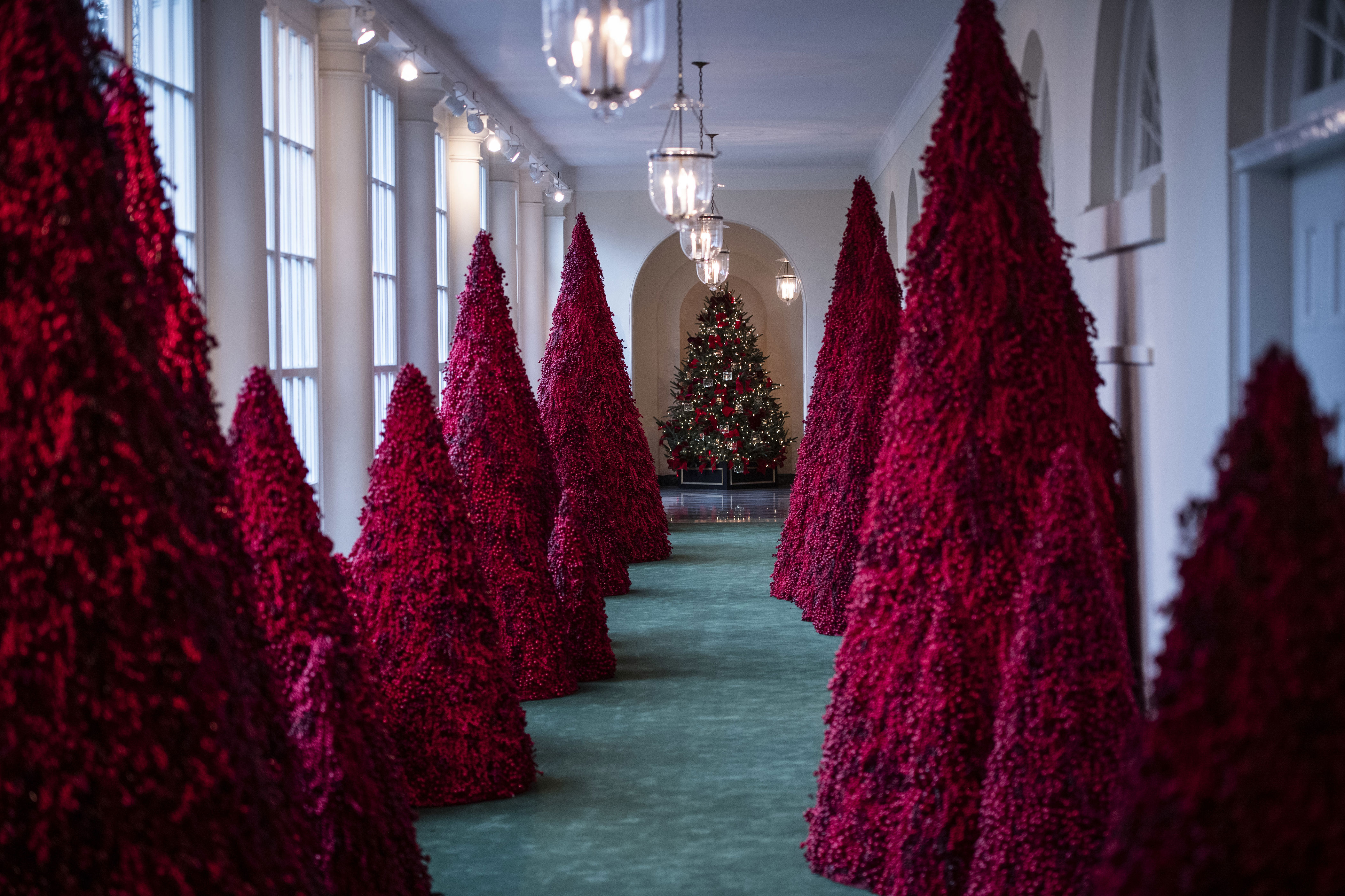 White House to resume public tours in December
