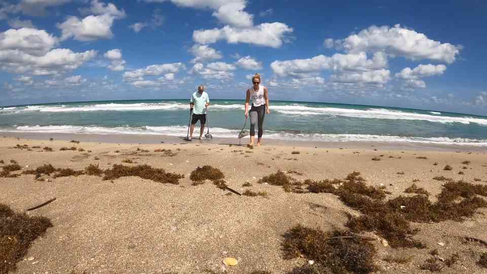 Sand crabs on the beach and the shocking diamond discovery