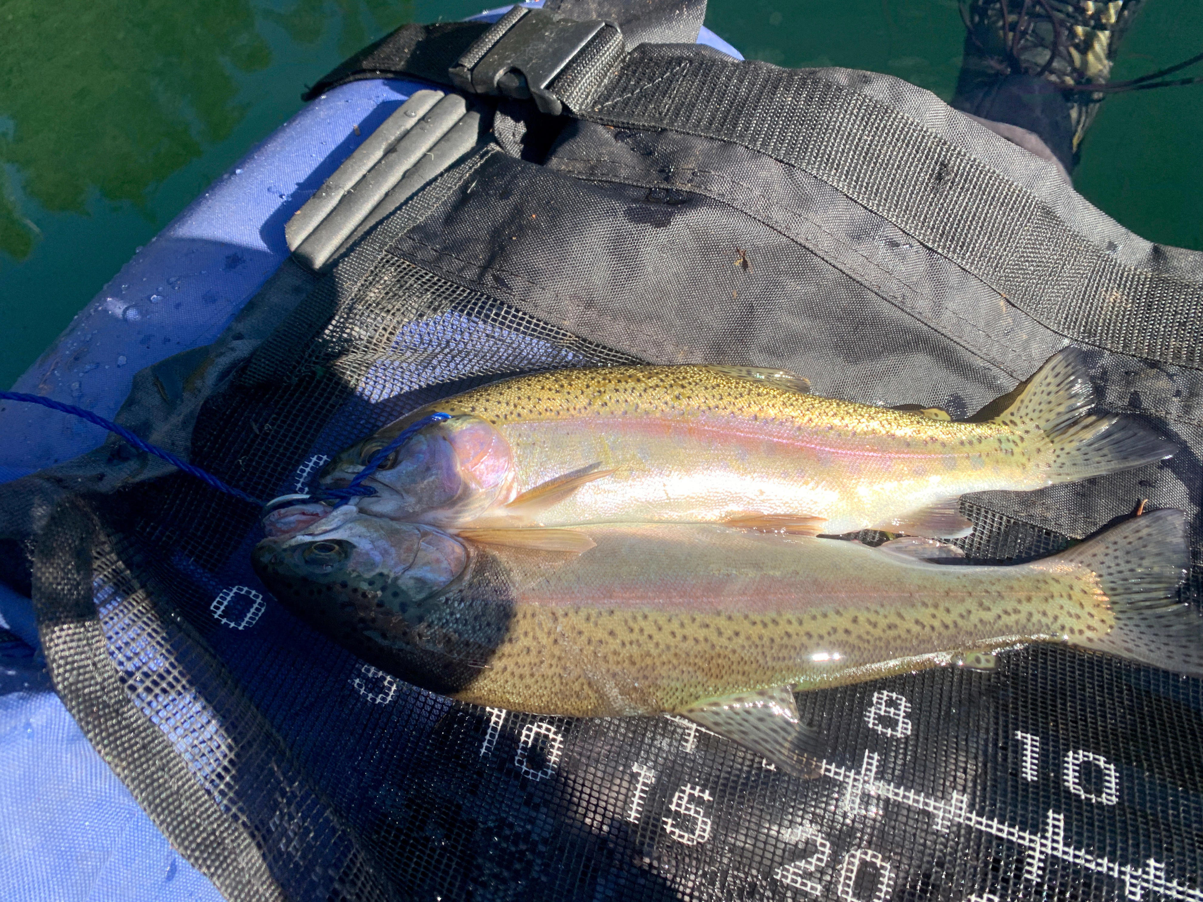 3 Oregon reservoirs may go dry, so officials removed fish bag limits