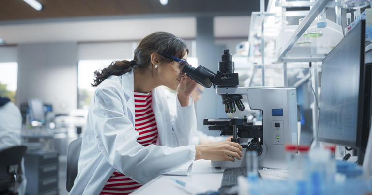 Scientists Discover Key Cells That Prevent Your Immune System from ...