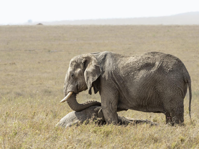 Strange Laws Still on the Books in Major Cities