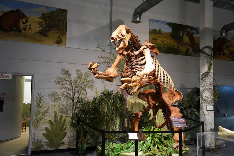 Giant Ground Sloths Evolved Three Different Times For The Same Reason