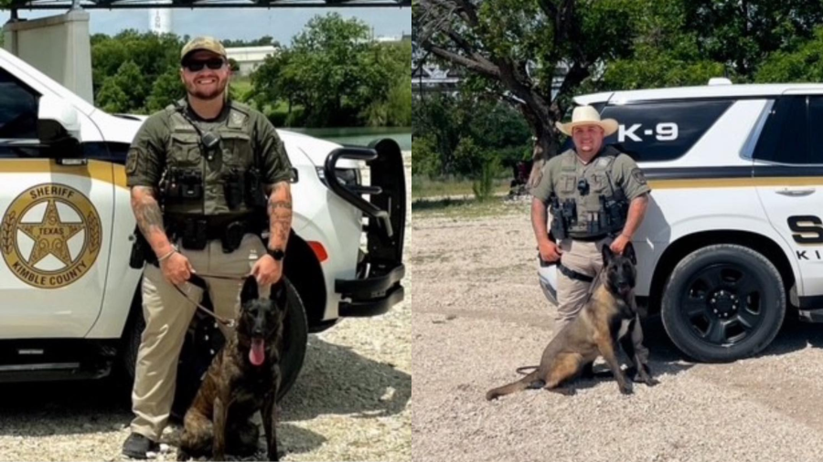 KCSO K-9 duos discover several grams of drugs