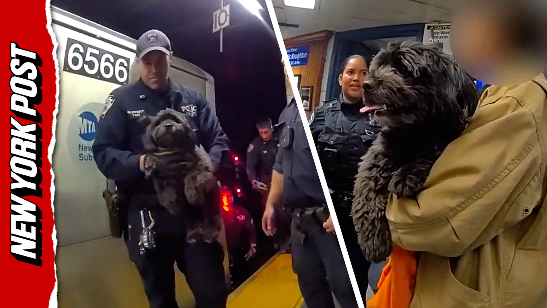 NYPD's rescue of Moose the dog under subway car leads to reunion with owner