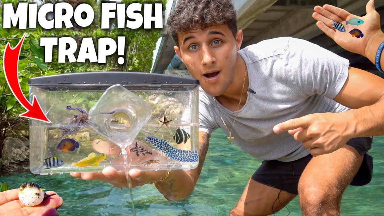 I caught exotic baby fish! 🐟