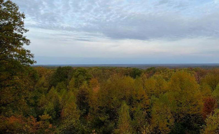 Where to see the fall leaves in Pennsylvania before it’s too late