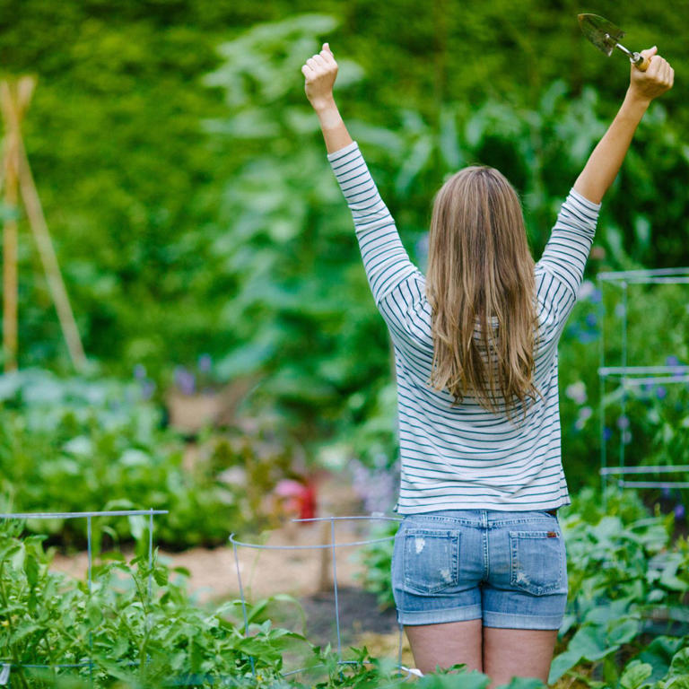 These 7 gardening jobs count as your 10,000 steps – and they transform ...