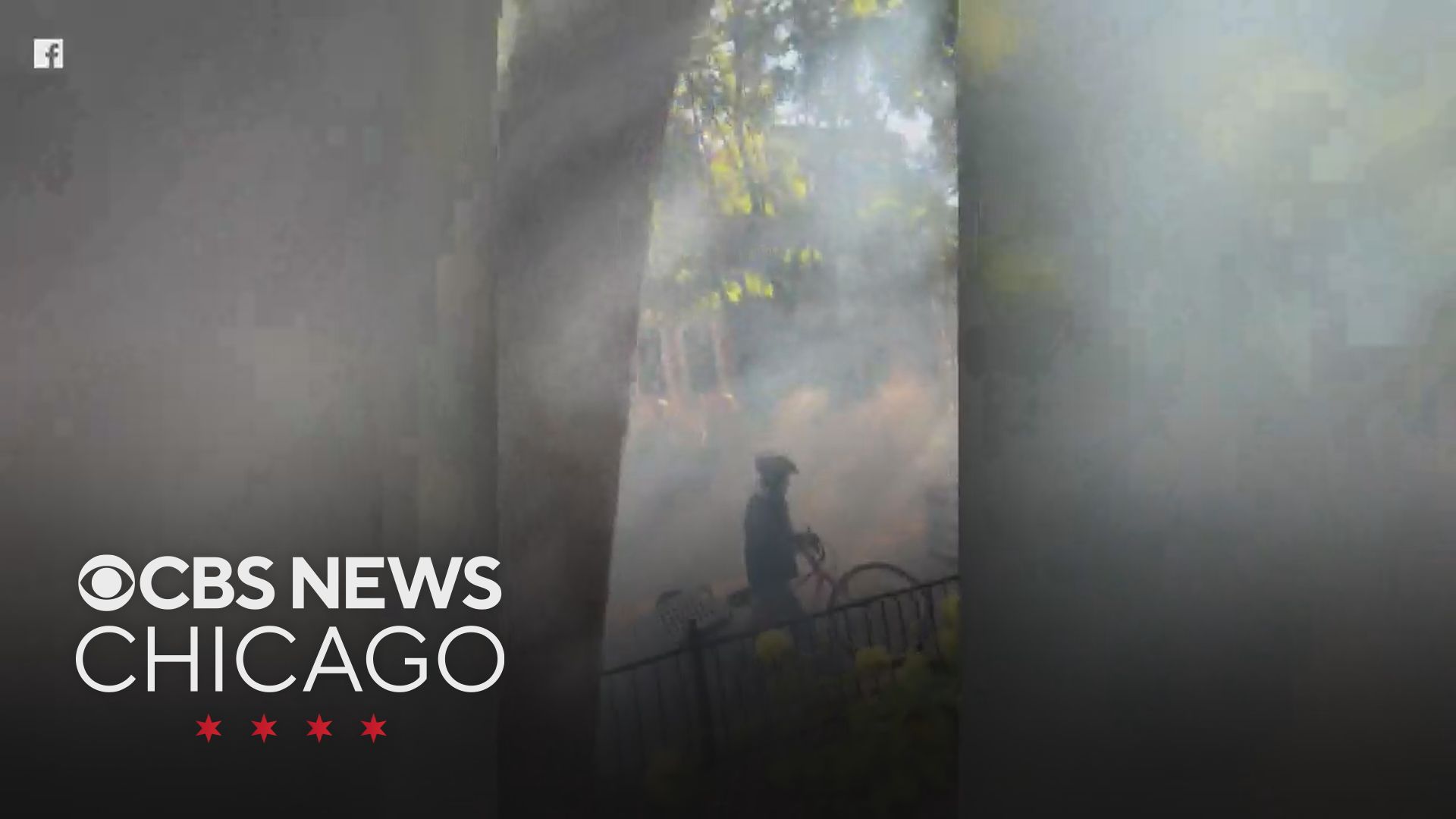Federal agents drop tear gas on residential street in Lakeview, Chicago