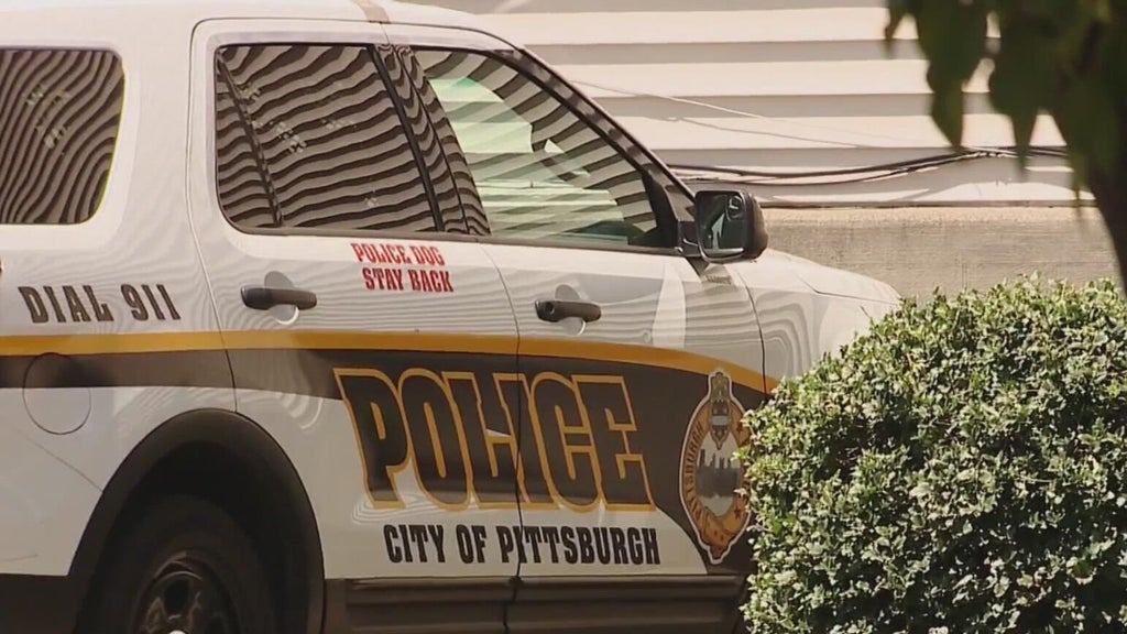 Pittsburgh City Council asking for violent crime data amid recent spike ...
