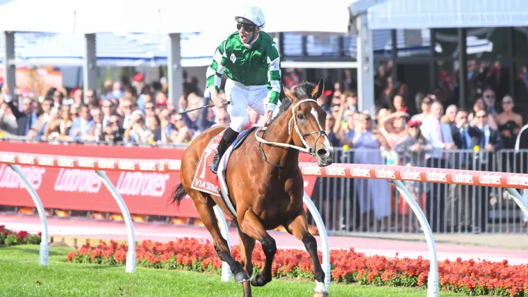 What time does the Cox Plate race start? Jump time and race schedule at ...