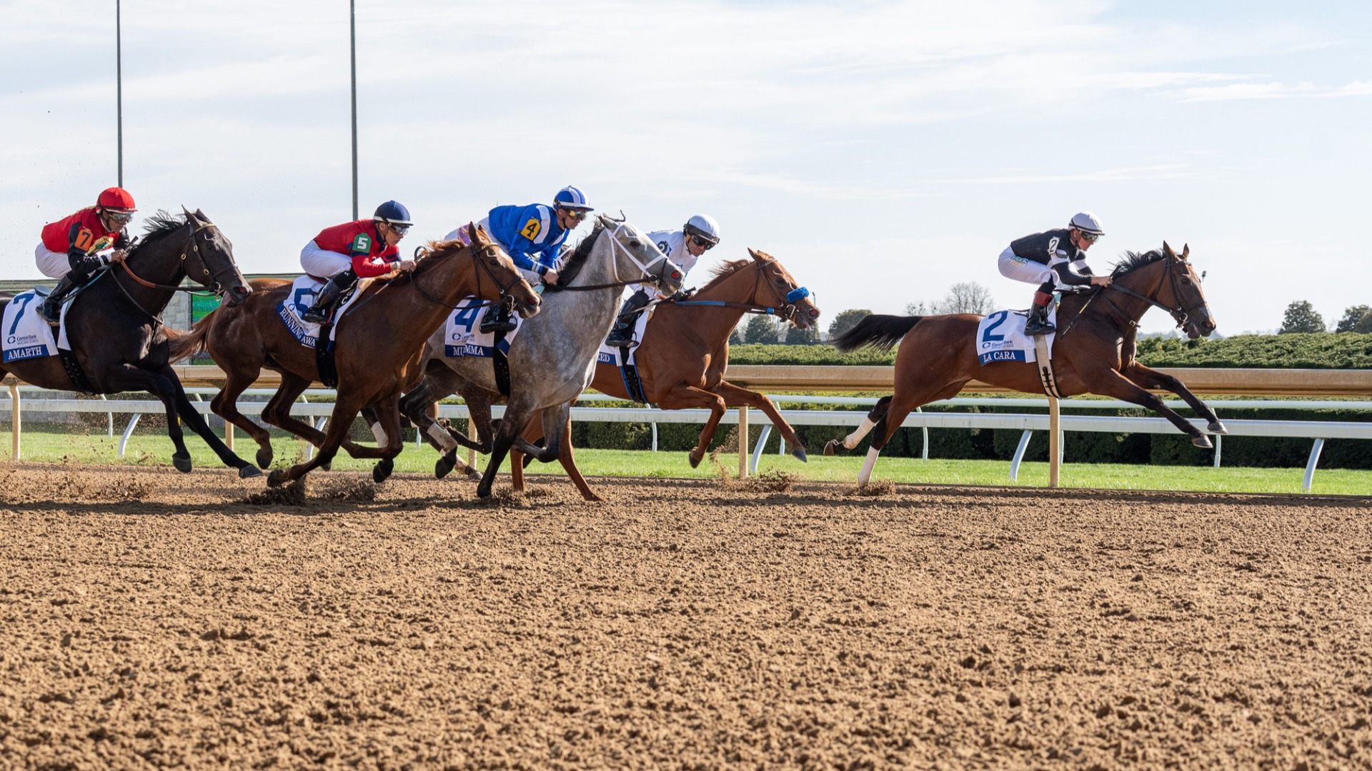 Handicapping Insights: Analyzing the Bryan Station Stakes