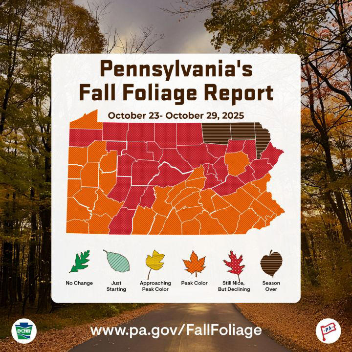 Where to see the fall leaves in Pennsylvania before it’s too late