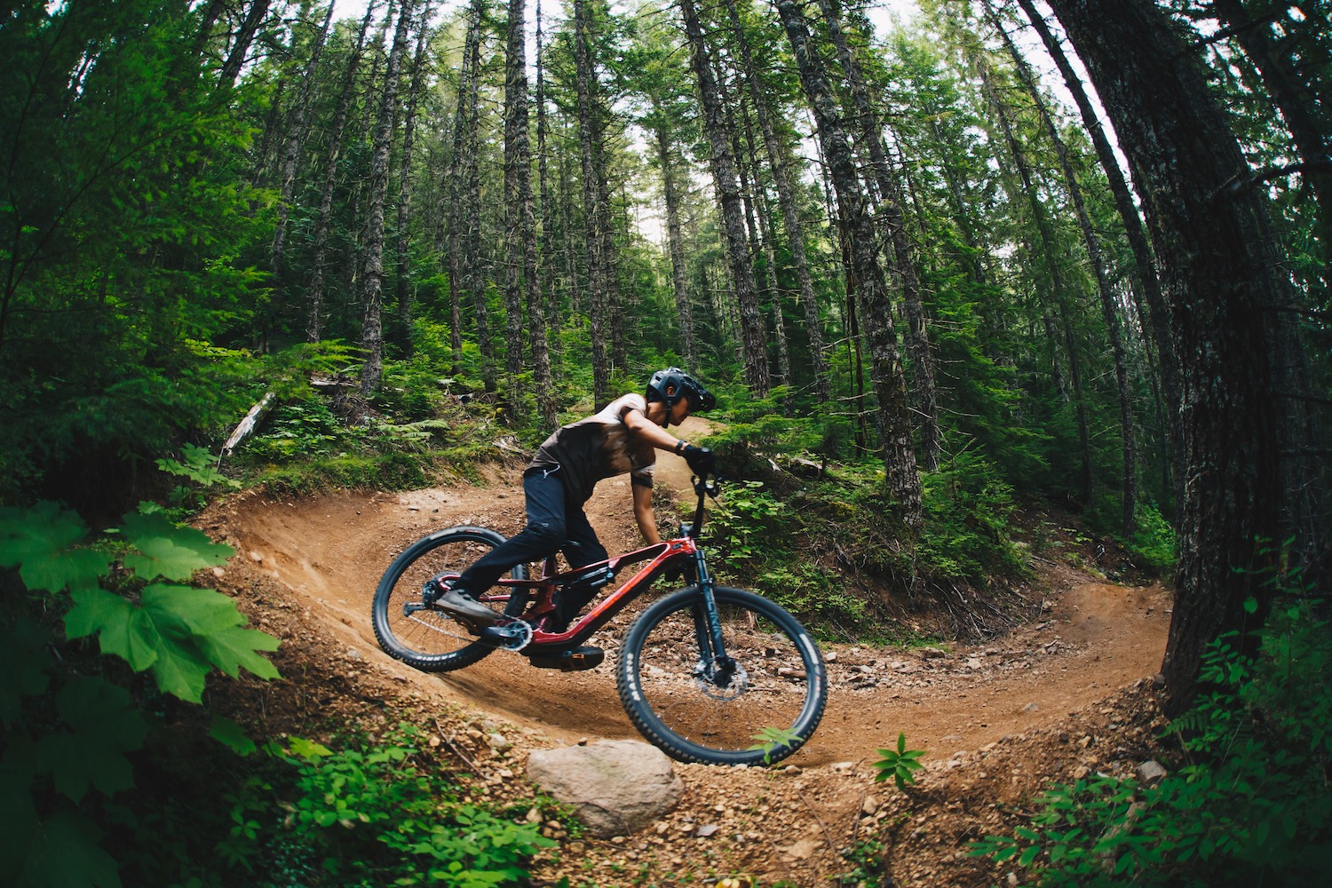 Polygon’s New Collosus T Might Be the Best Value in Mountain Biking