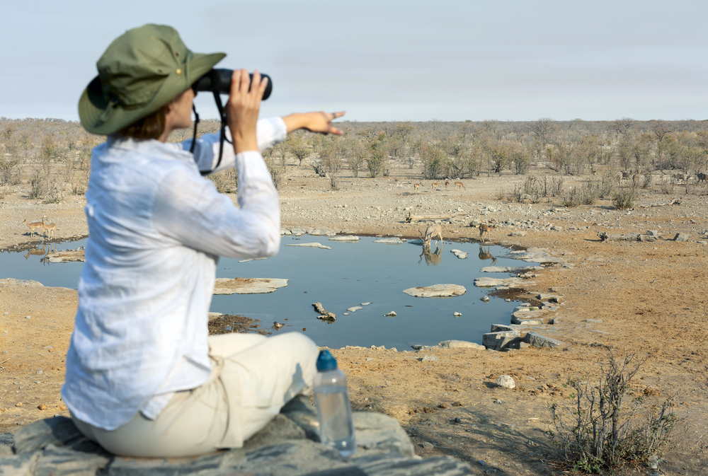 Essential things to pack for a safari trip